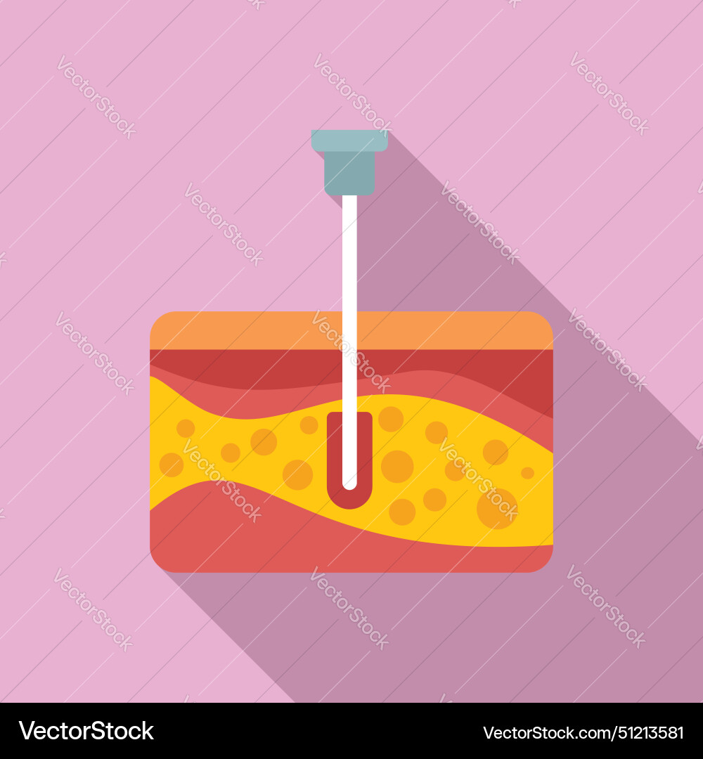 Skin liposuction injection icon flat care Vector Image