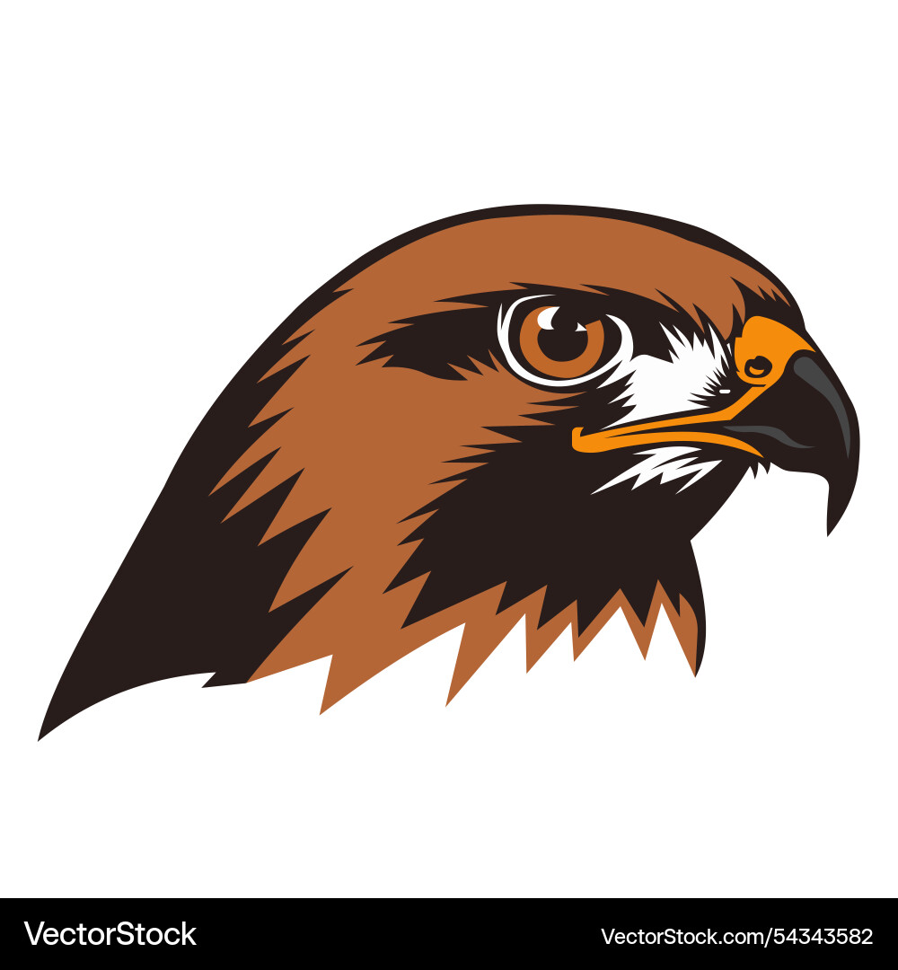 Hawk head logo design ideas Royalty Free Vector Image
