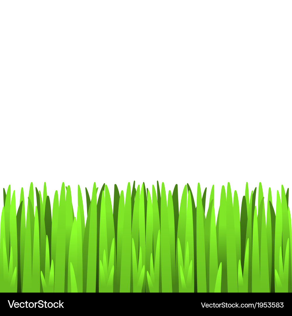 Green grass Royalty Free Vector Image - VectorStock