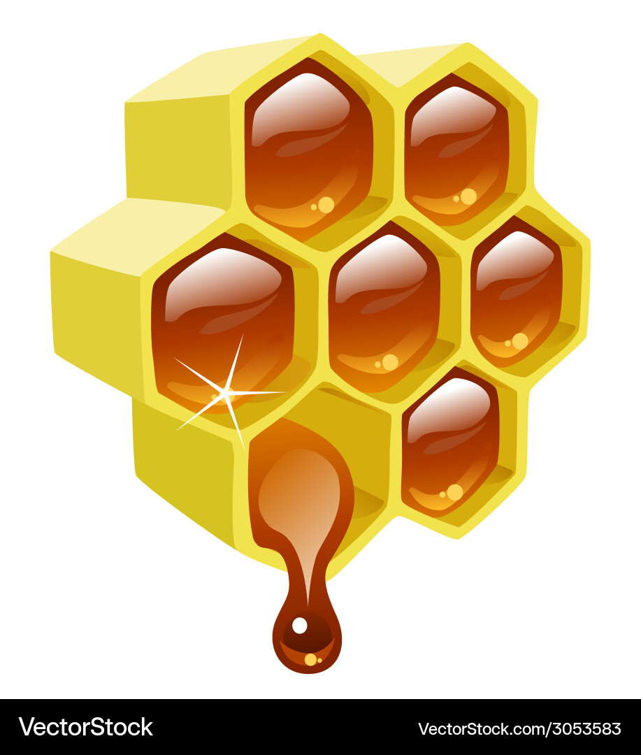 Honey Royalty Free Vector Image - VectorStock