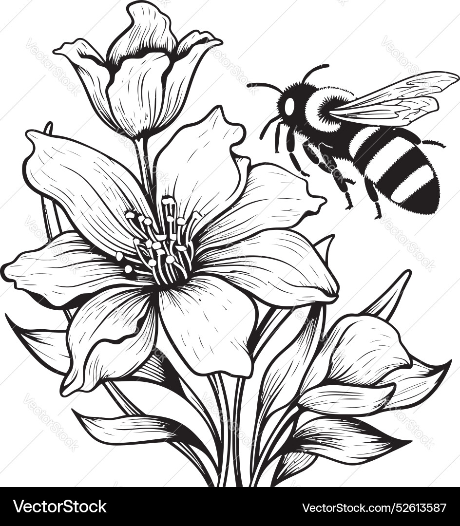 Bee blessing black graphic with bee and flower Vector Image