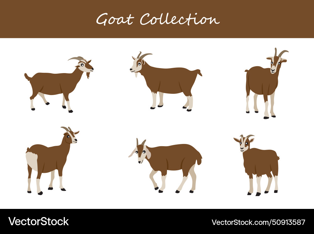Goat collection Royalty Free Vector Image - VectorStock