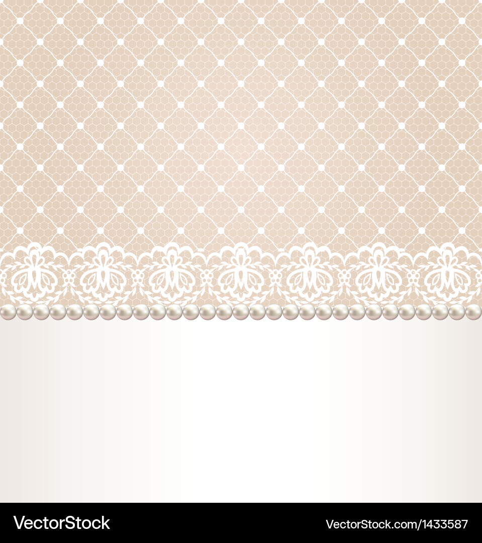Lace floral border on net background Royalty Free Vector