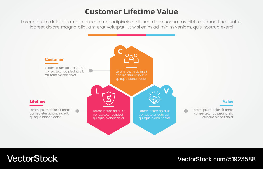Clv customer lifetime value infographic concept Vector Image