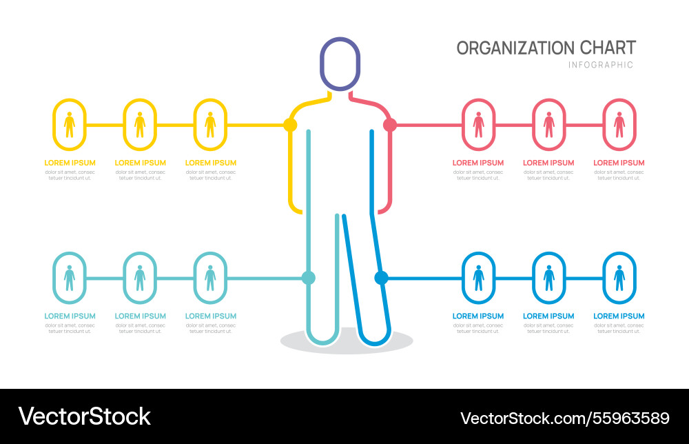 Organization chart infographic template Royalty Free Vector