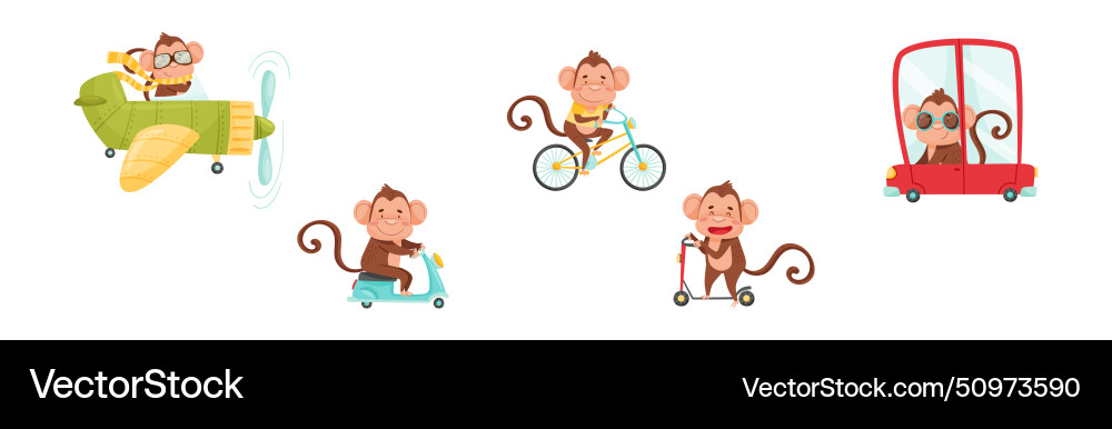 Cute monkey driving and riding transport Vector Image