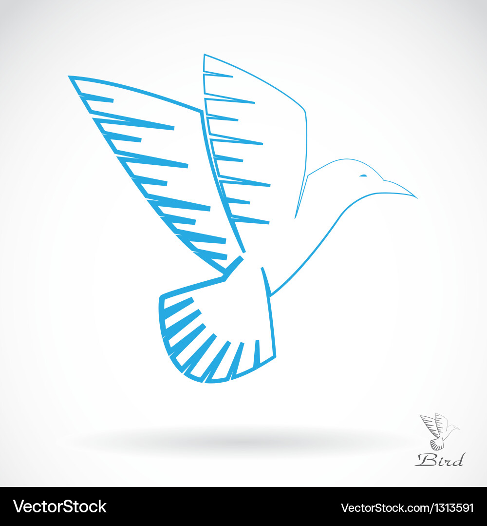 Bird Royalty Free Vector Image - VectorStock
