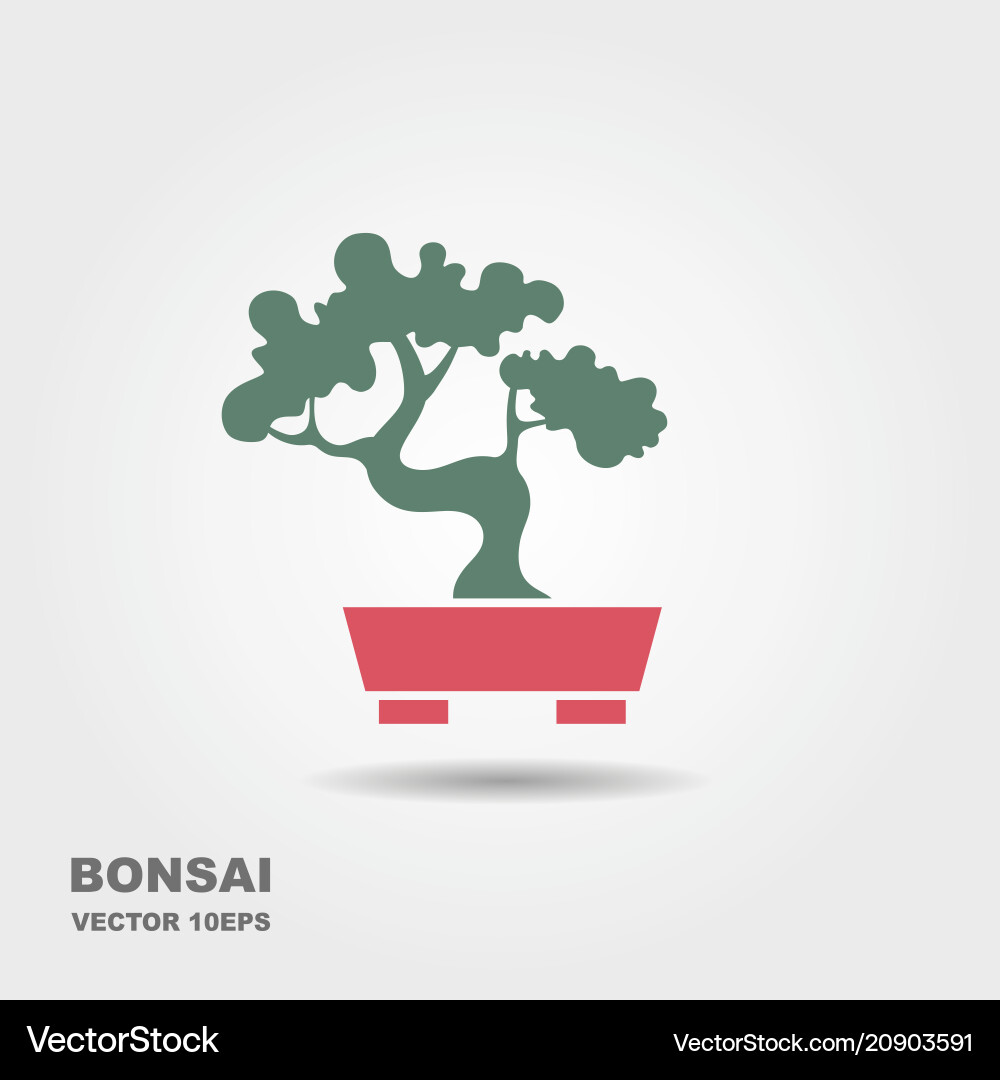 Bonsai tree icon Royalty Free Vector Image - VectorStock