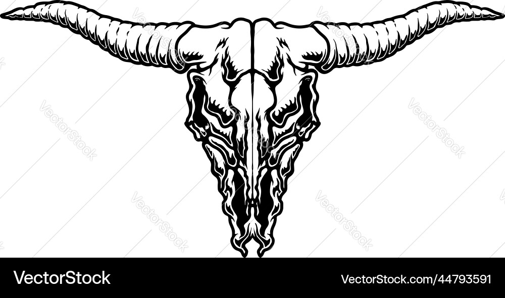 Buffalo skull isolated on white background design Vector Image