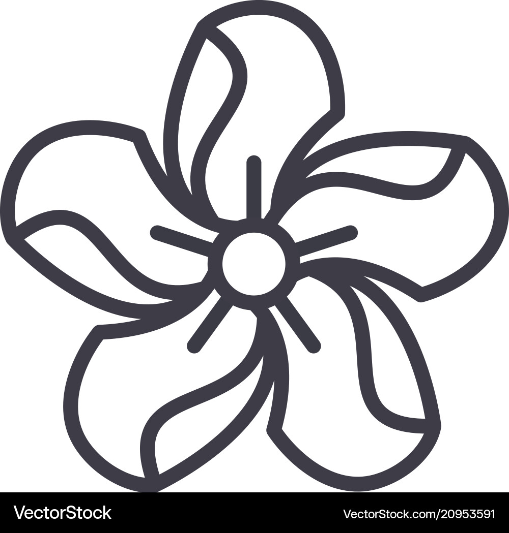 Oleander Plant Nerium Vector Images (45)