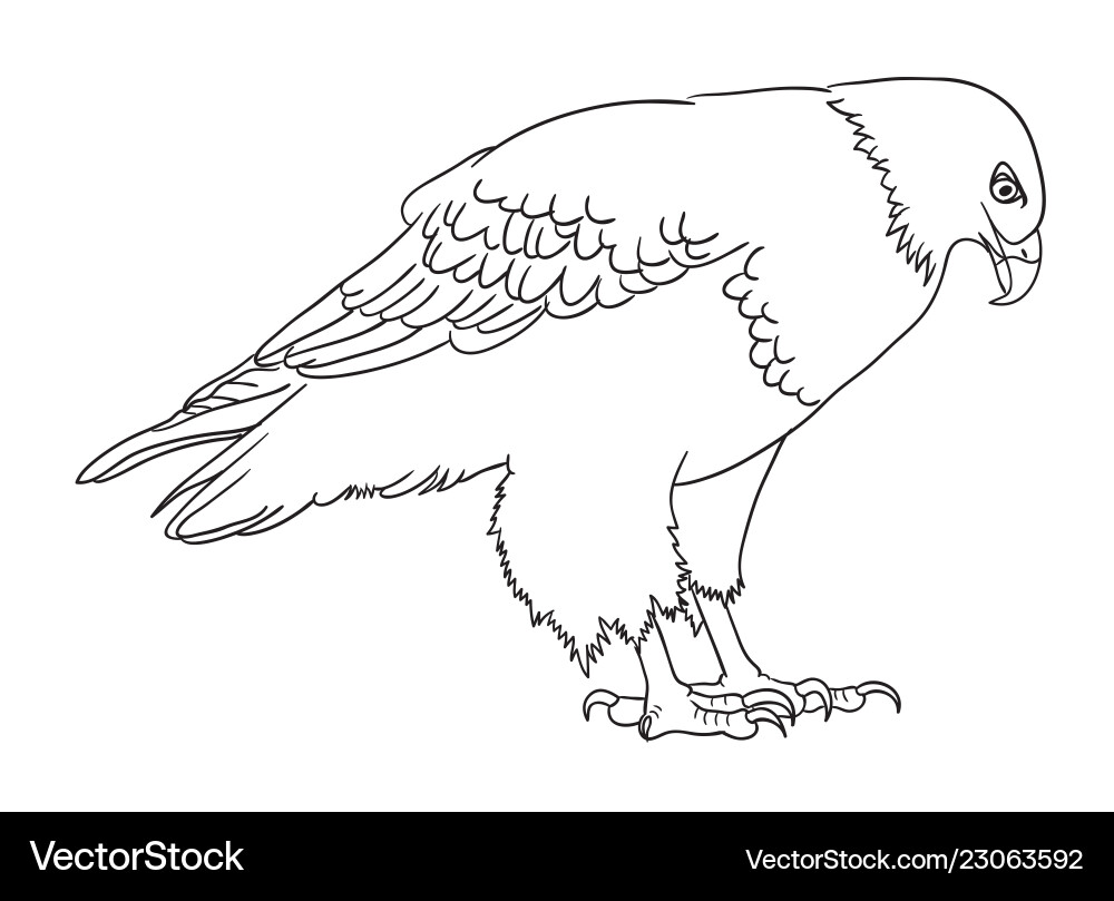 Eagle line art 08 Royalty Free Vector Image - VectorStock