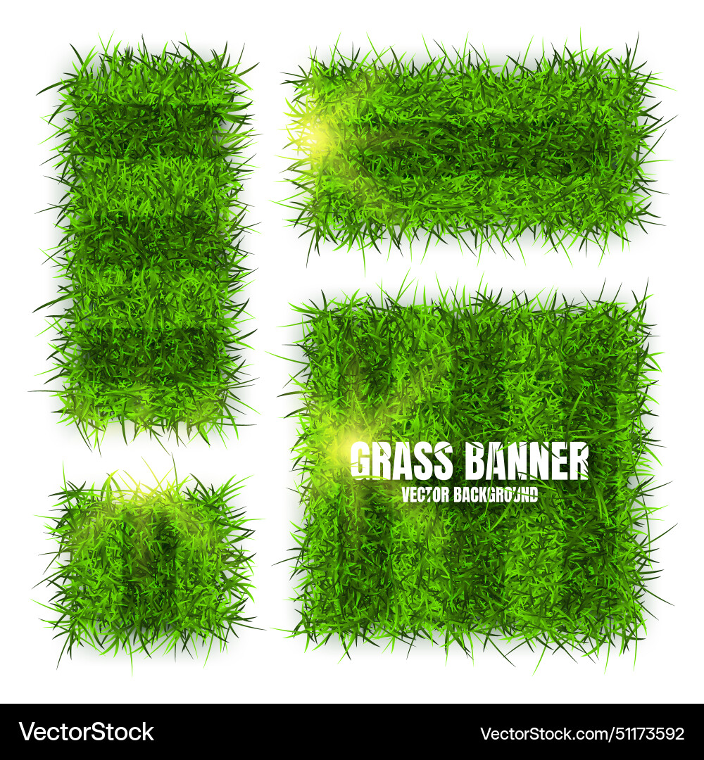 Green grass banners background field meadow Vector Image