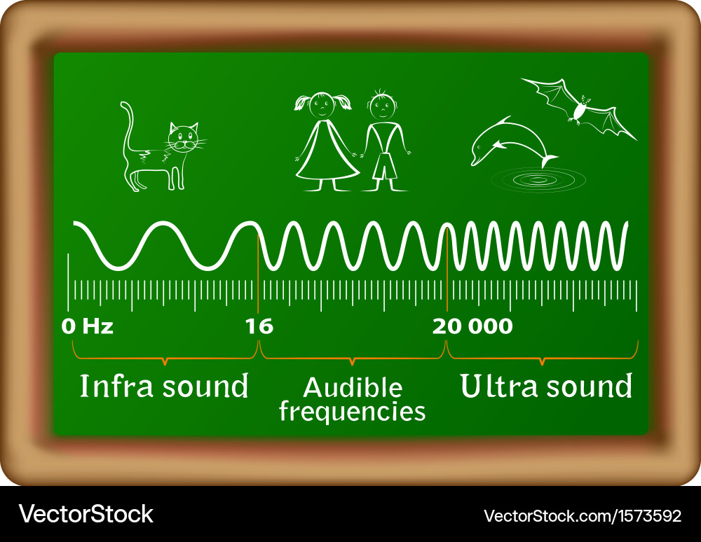 Sound Frequency Chart: Infrasound, Ultrasound & He