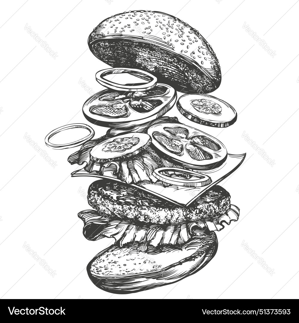Big burger hamburger hand drawn Royalty Free Vector Image