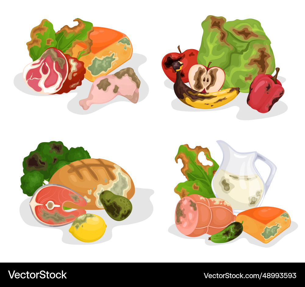 Spoiled Food Composition Royalty Free Vector Image