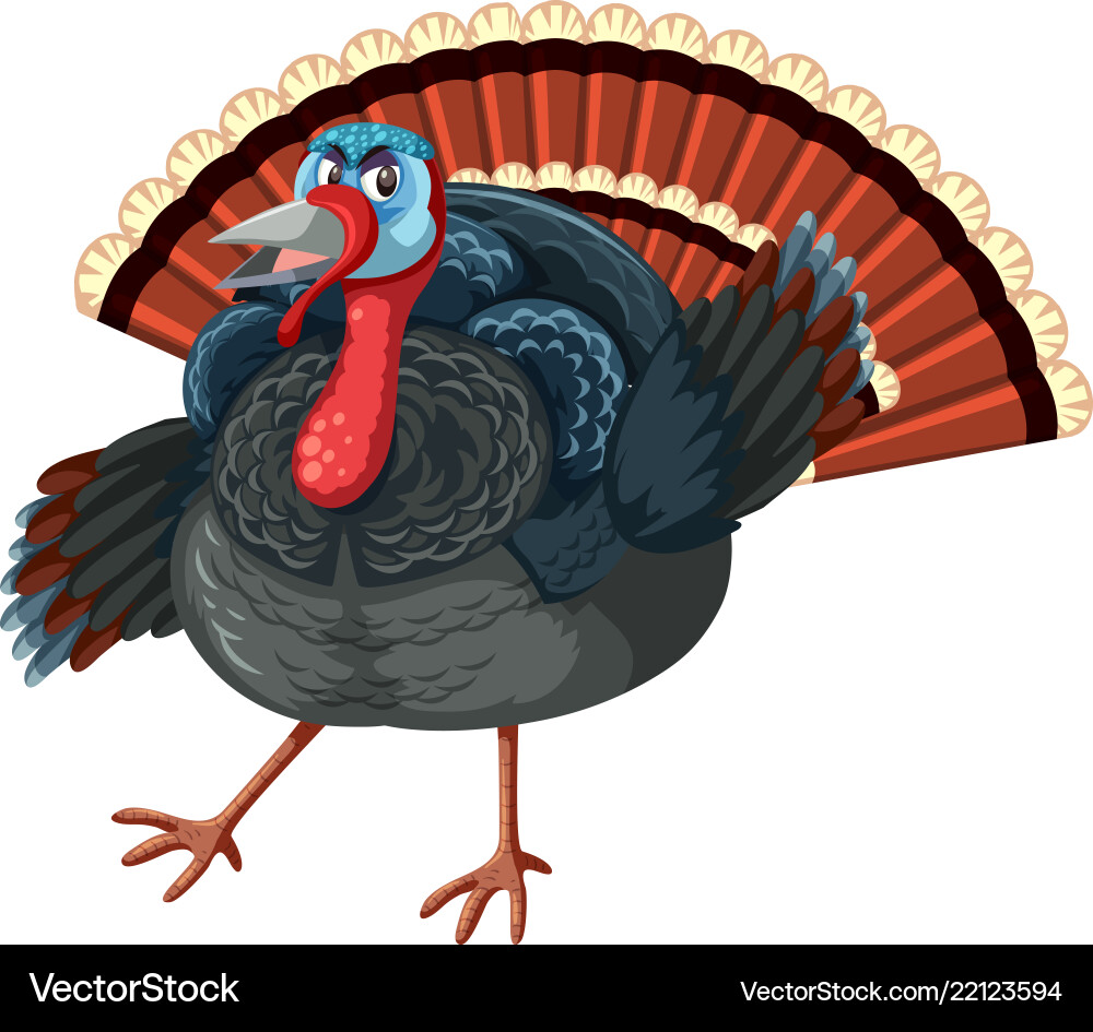 A turkey on white background Royalty Free Vector Image
