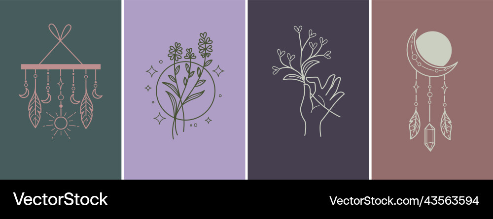 Mystical and magical signs feathers herbs Vector Image