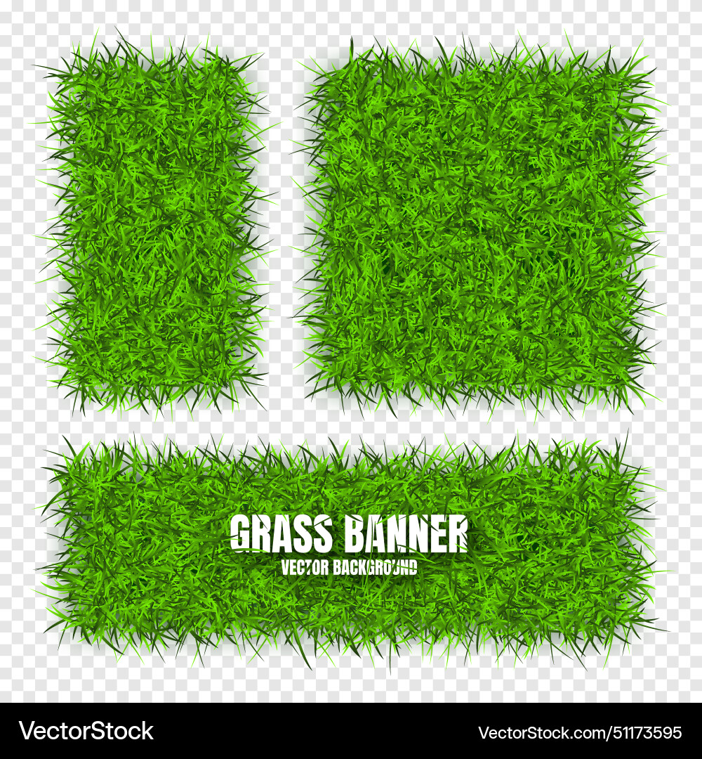 Green grass banners background field meadow Vector Image