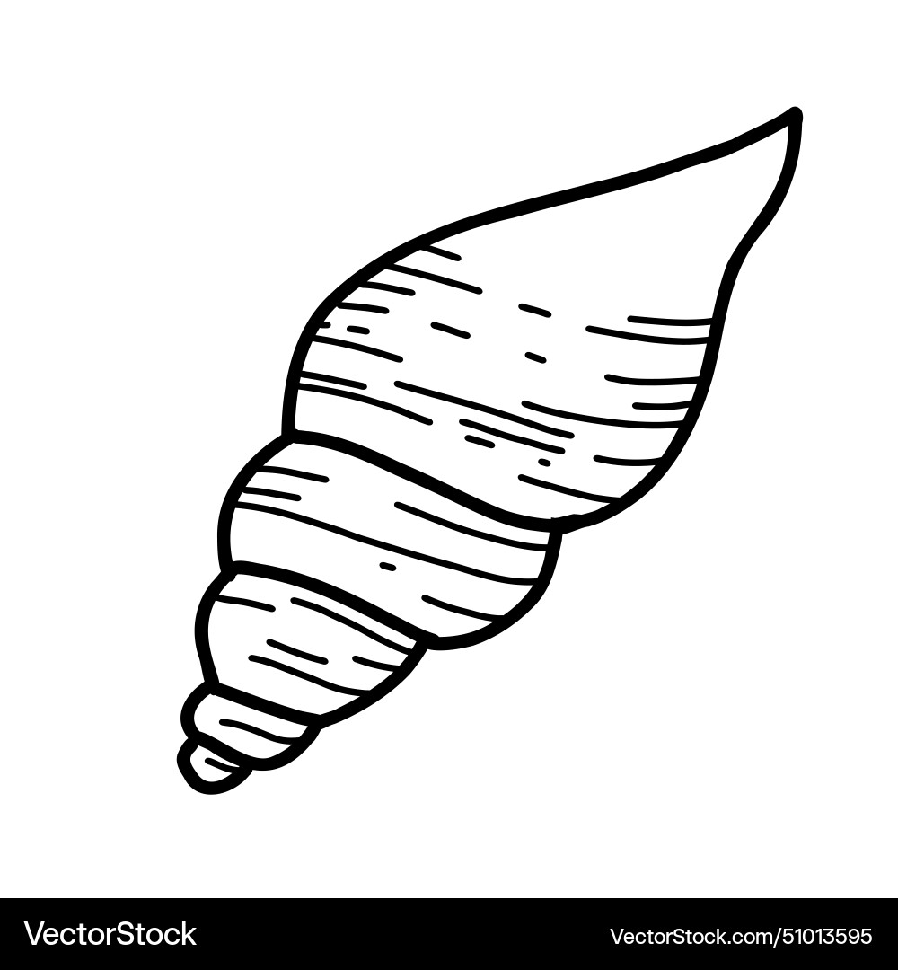 Hand drawn sea shell sketch Royalty Free Vector Image