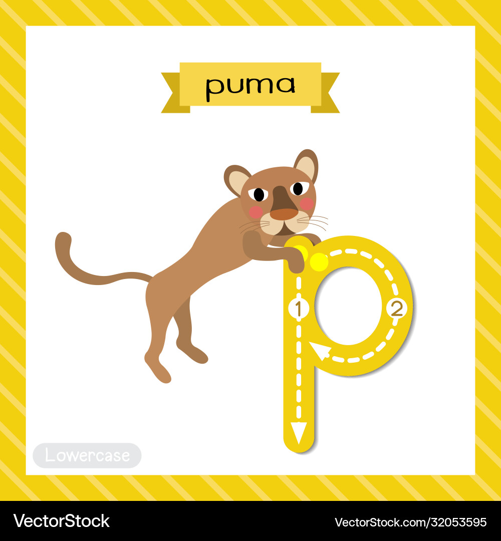Letter p lowercase tracing jumping puma Royalty Free Vector