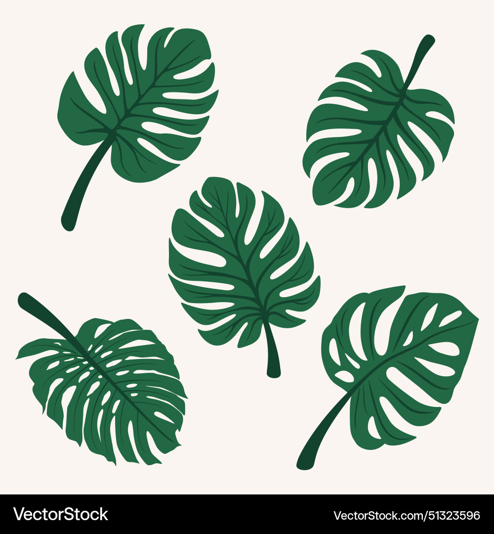 Flat monstera leaf icon foliage Royalty Free Vector Image