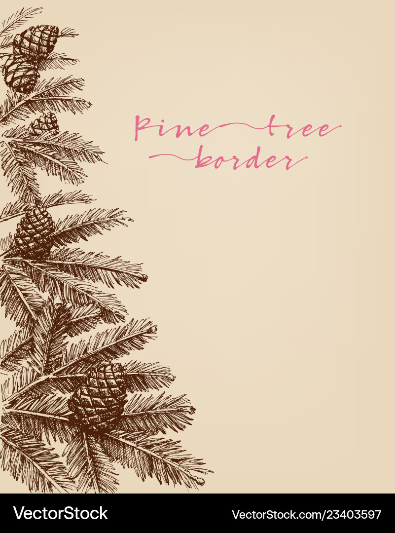 Pine tree branches cones hand drawn Royalty Free Vector