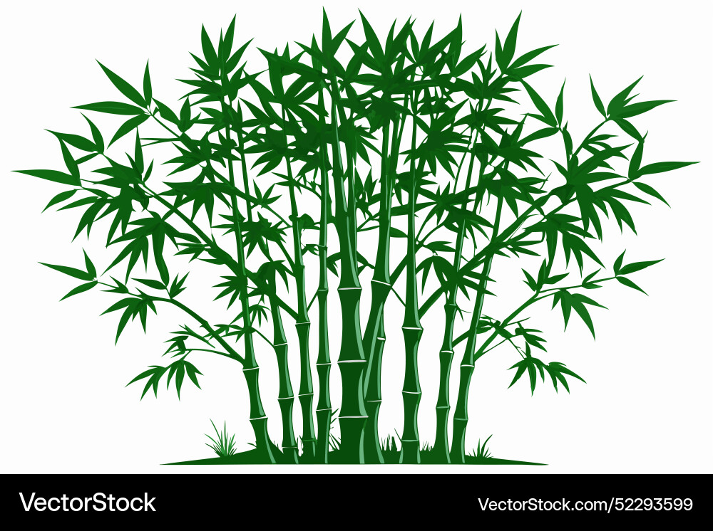 Bamboo garden tree silhouette e Royalty Free Vector Image