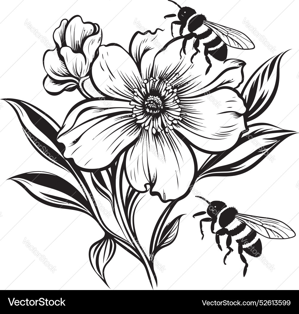 Bloom buzz flower bud and bee design in black Vector Image