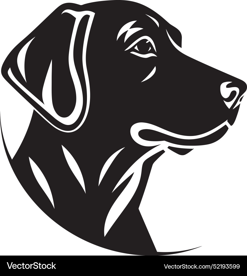 Caring for senior dogs a comprehensive Royalty Free Vector