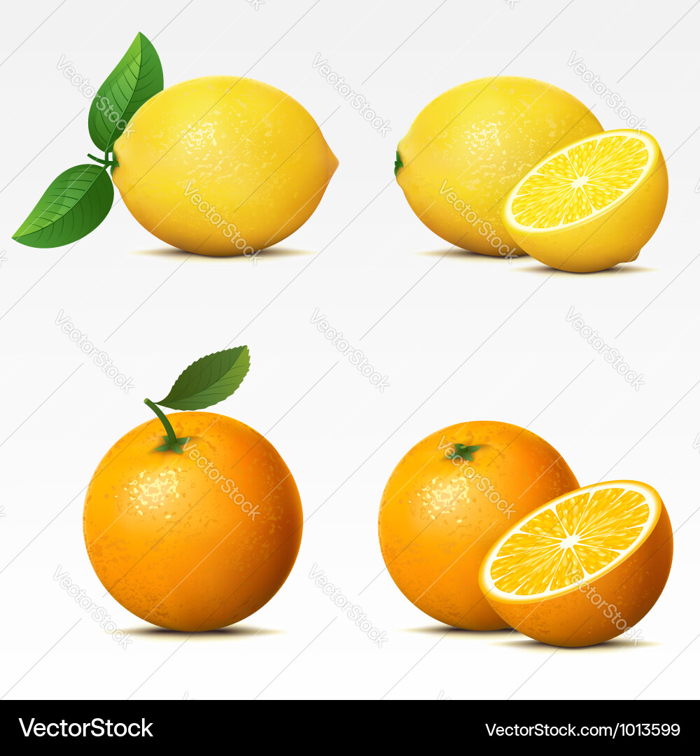 Collection of fruits Royalty Free Vector Image