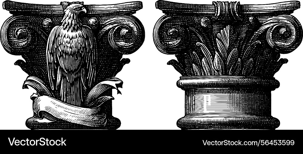 Engraved of classical pillar base Royalty Free Vector Image