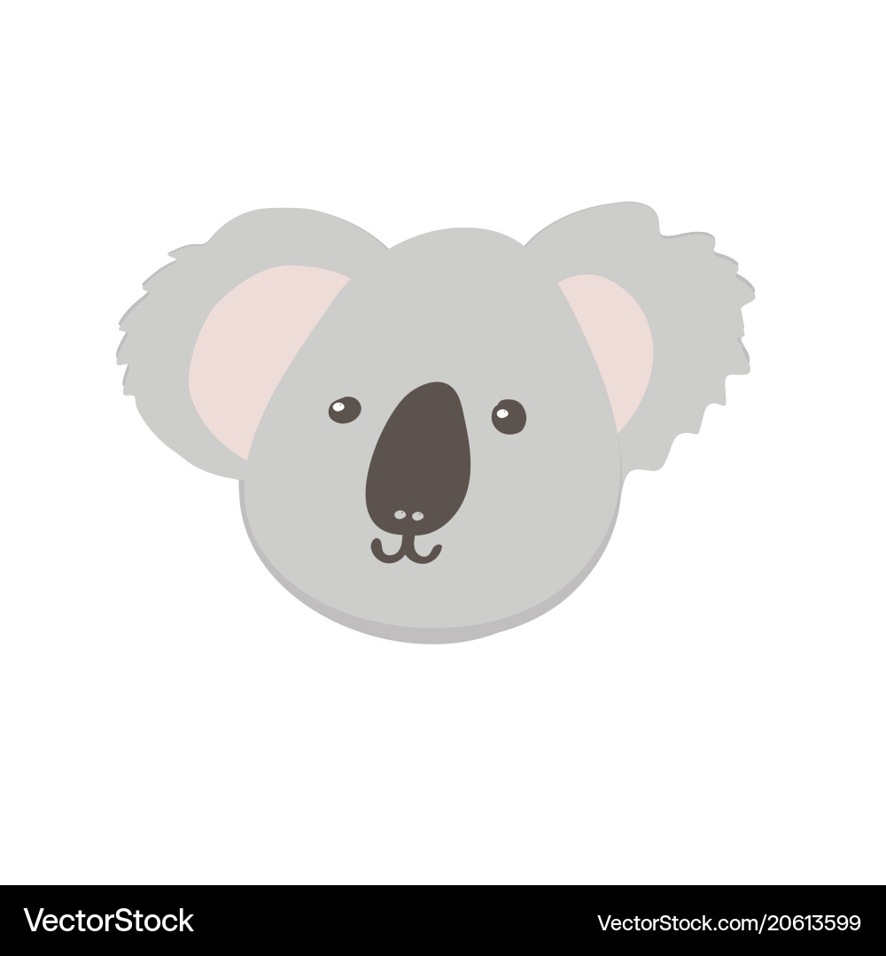 Koala Royalty Free Vector Image - VectorStock