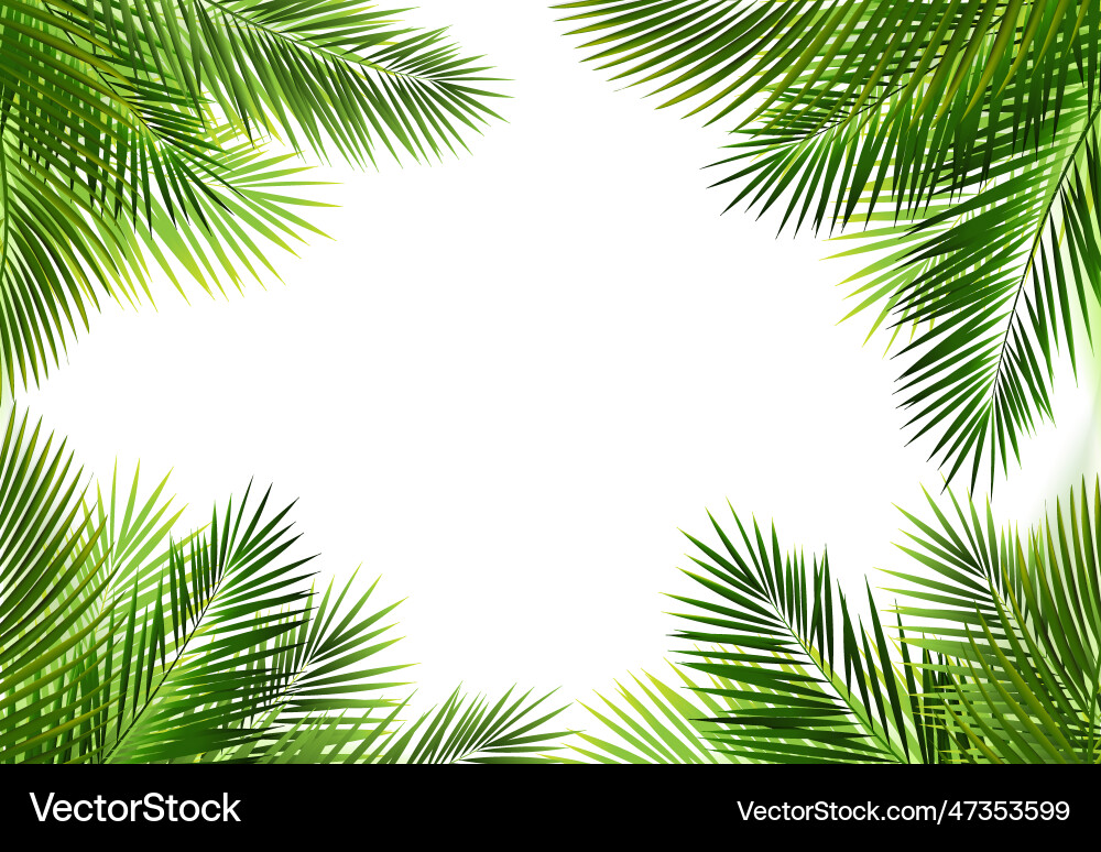 Tropical palm leaves frame isolated white Vector Image