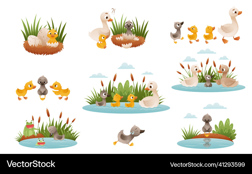 Ugly duckling fairy tale is born Royalty Free Vector Image
