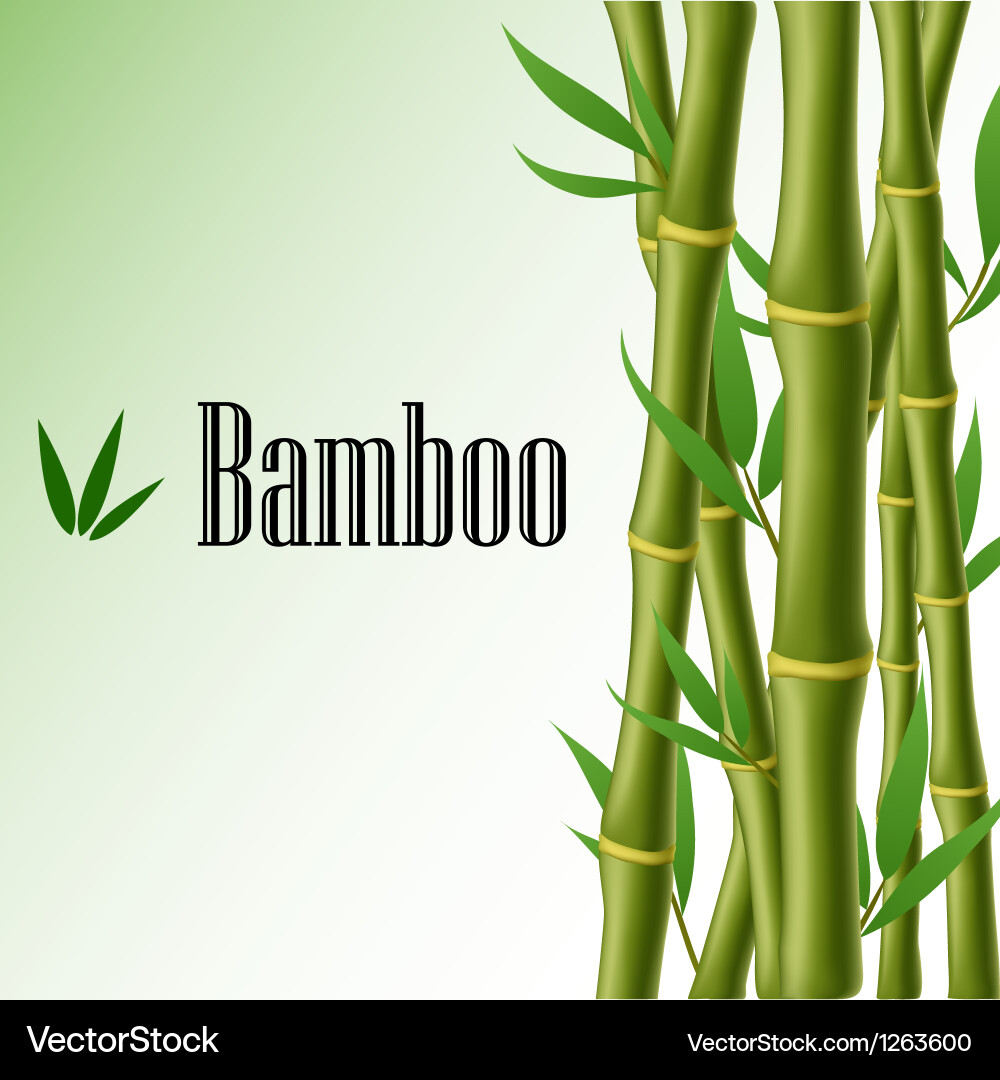 Bamboo text frame Royalty Free Vector Image - VectorStock