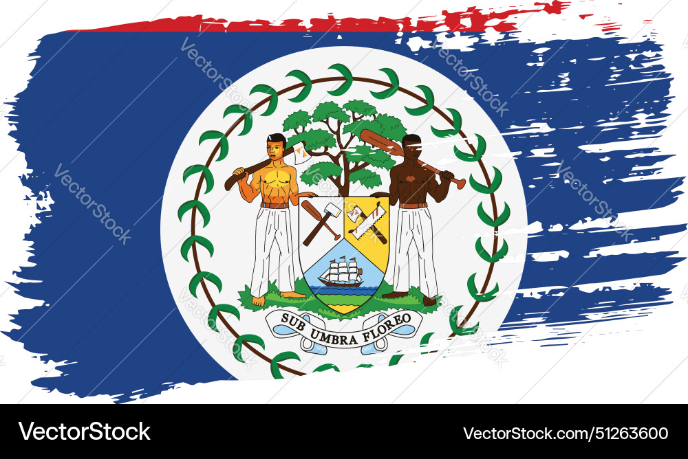 Belize flag wide brush stroke on transparent Vector Image