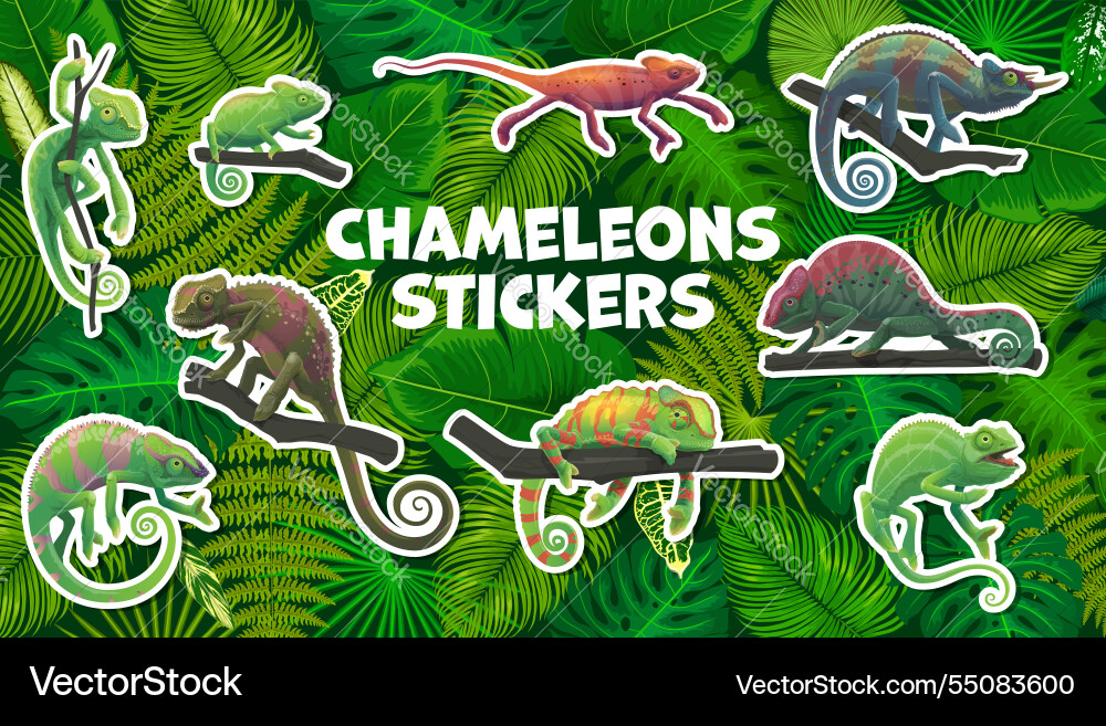 Cartoon chameleon lizards character stickers pack Vector Image