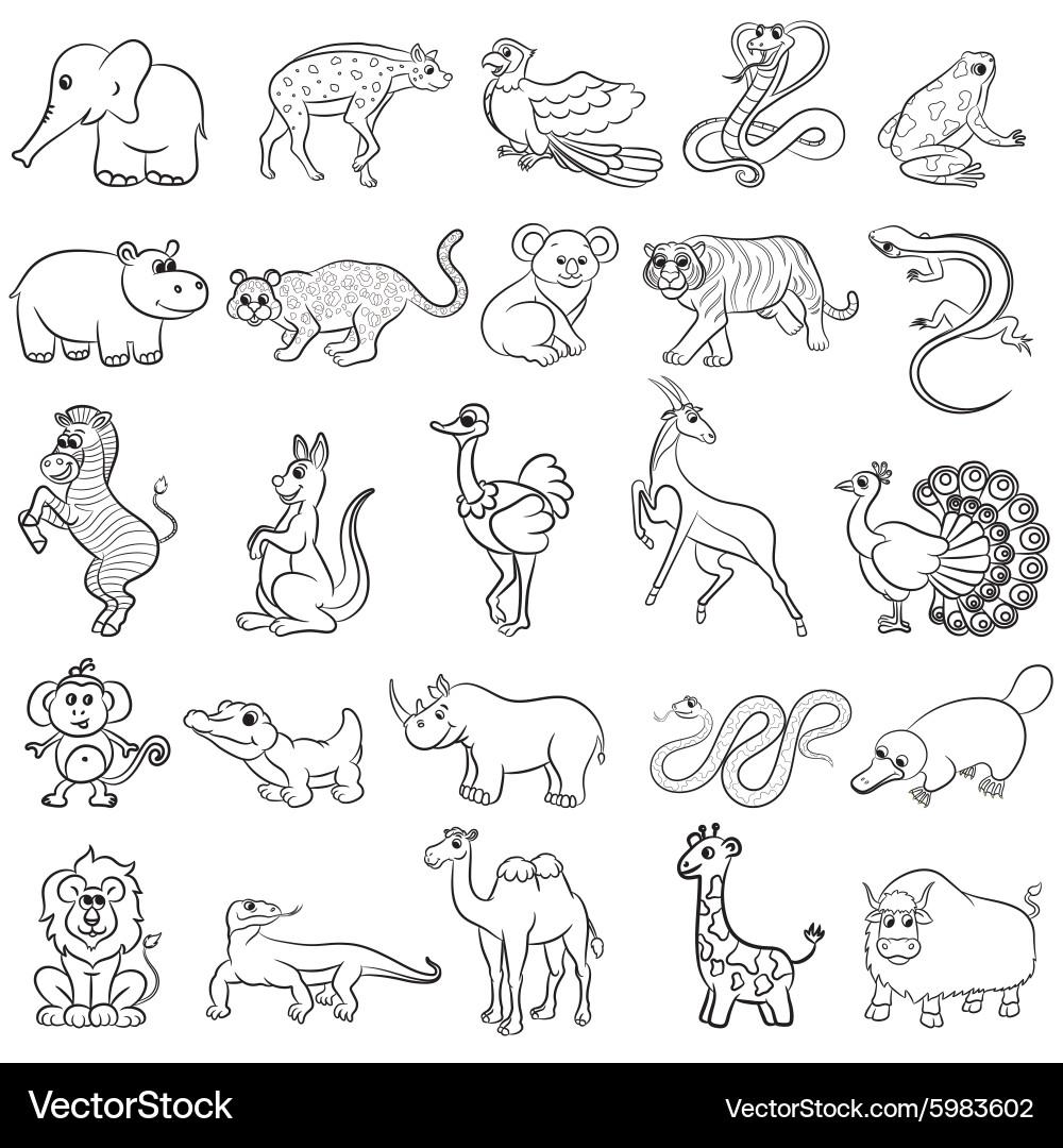 Cartoon Zoo Animals Royalty Free Vector Image - VectorStock