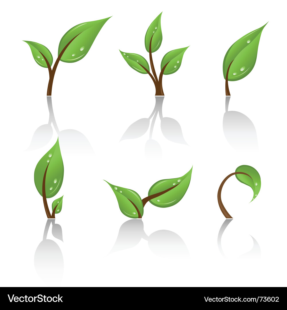 Sprout Roots Vector Images (over 3,800)