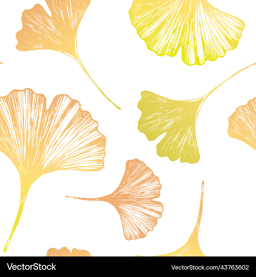 Elegant Ginkgo Leaves Royalty Free Vector Image