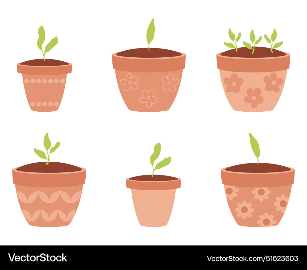 Small seedling sprouts in a flower pots doodle Vector Image