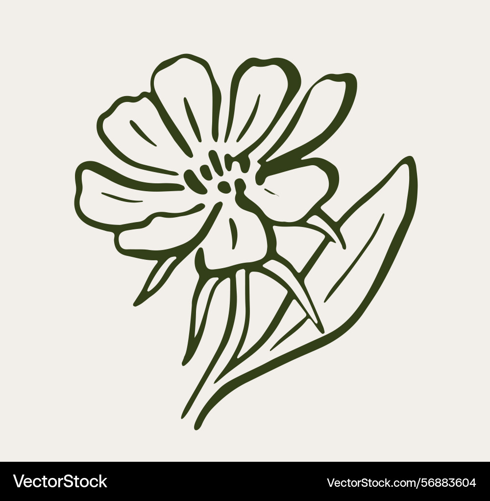 Simple flower sketch on light background Vector Image