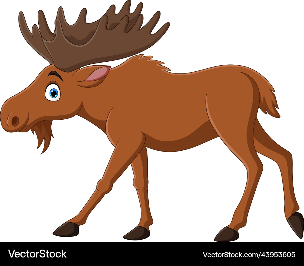 Cartoon moose on white background Royalty Free Vector Image