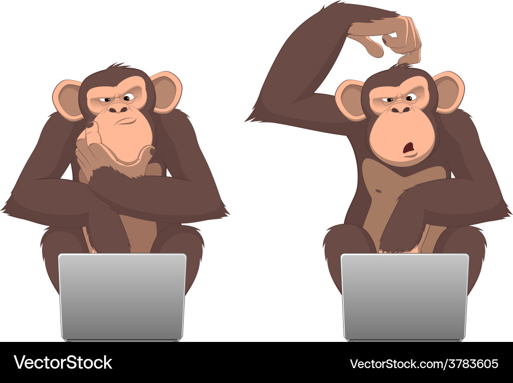 Monkey and computer Royalty Free Vector Image - VectorStock