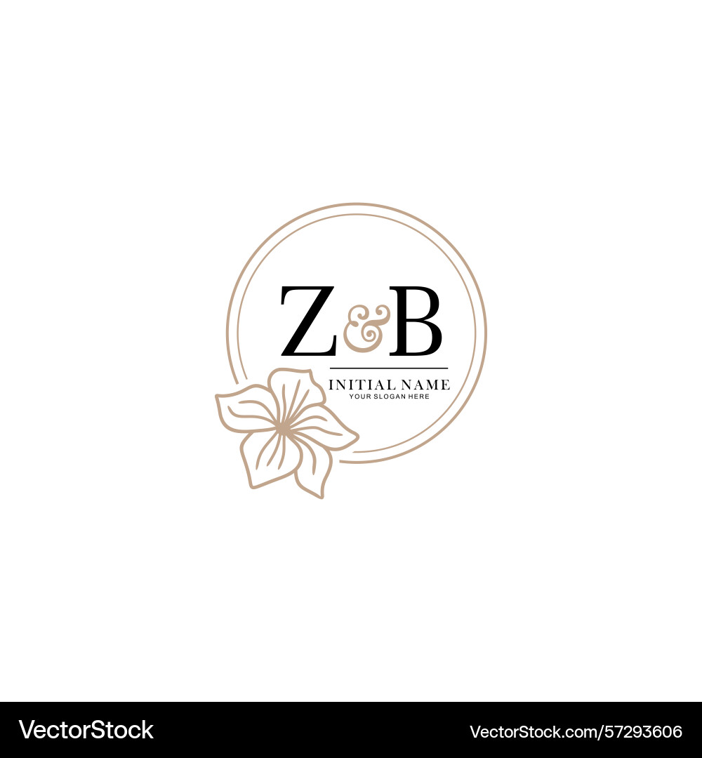 Elegant zb initial logos with floral and modern Vector Image