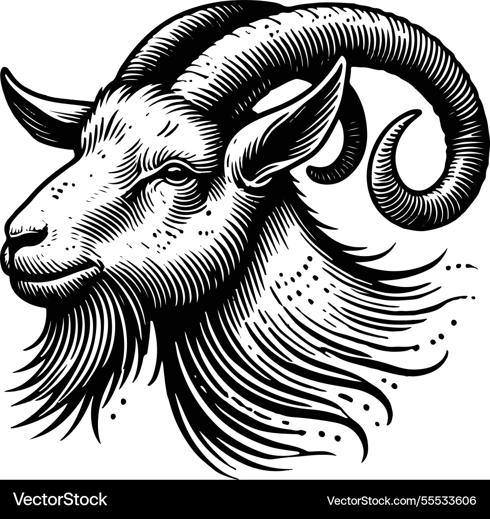 Minimalist Goat Head Royalty Free Vector Image