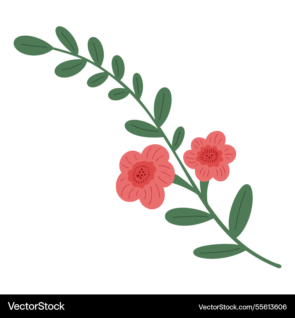 Simple hand drawn long plant branch with leaves Vector Image