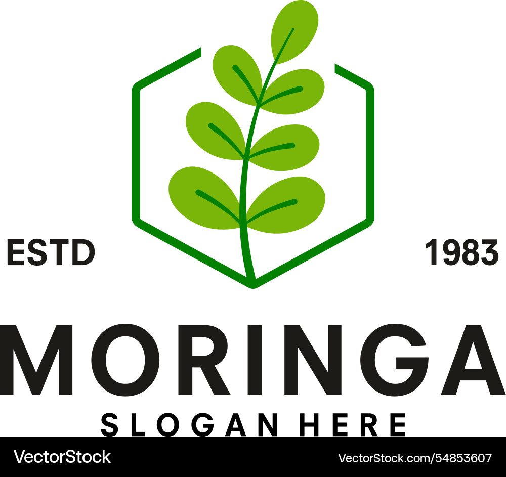 Moringa logo design Royalty Free Vector Image - VectorStock