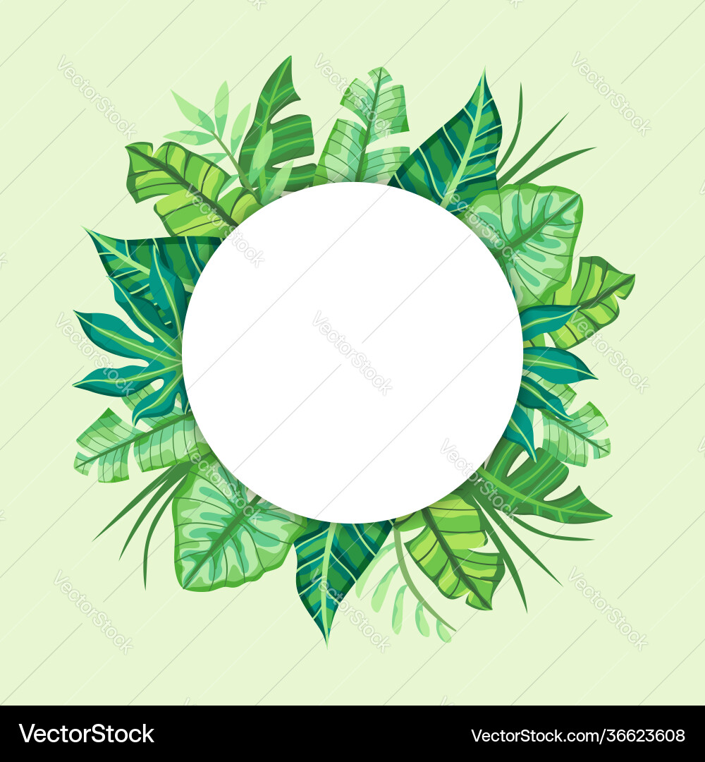 Round label design with tropical leaves suitable Vector Image