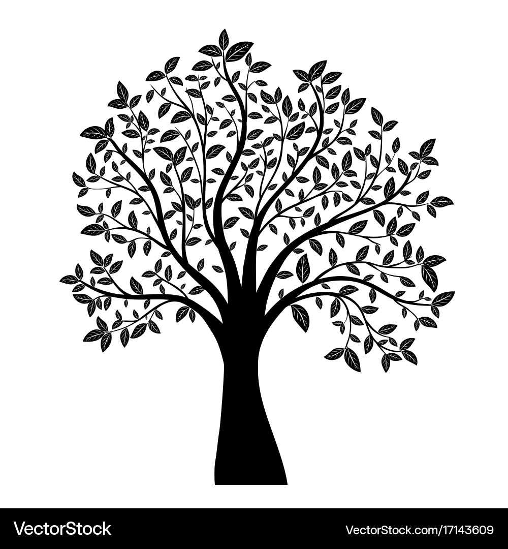 Baum Silhouette Lizenzfreies Vektorbild - VectorStock